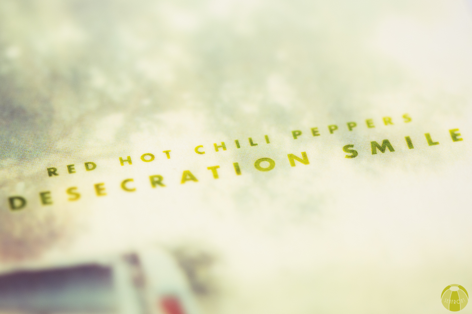 Stefanie Schneider & Desecration Smile [Pt.1]